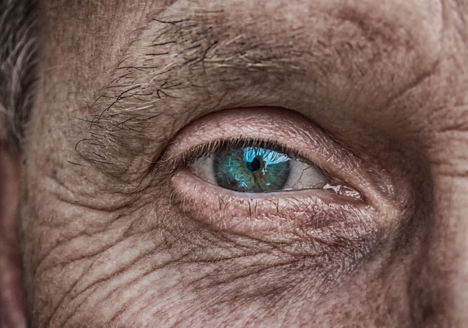 Macular Degeneration Eye Diseases Adults Palmetto Eye Laser macular-degeneration-eye-diseases-adults-palmetto-eye-laser